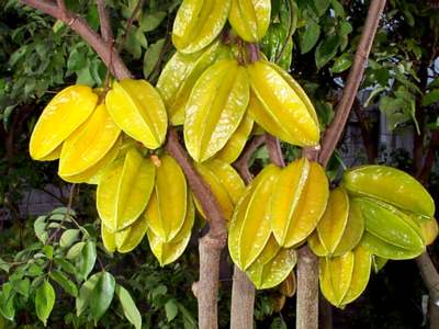 La Carambola